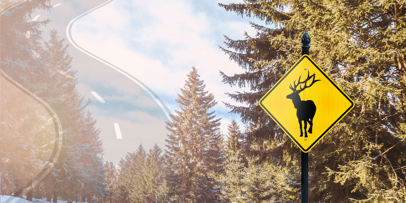 Signature Streetscapes | Decorative Street Signs, Lights, Home Plaques