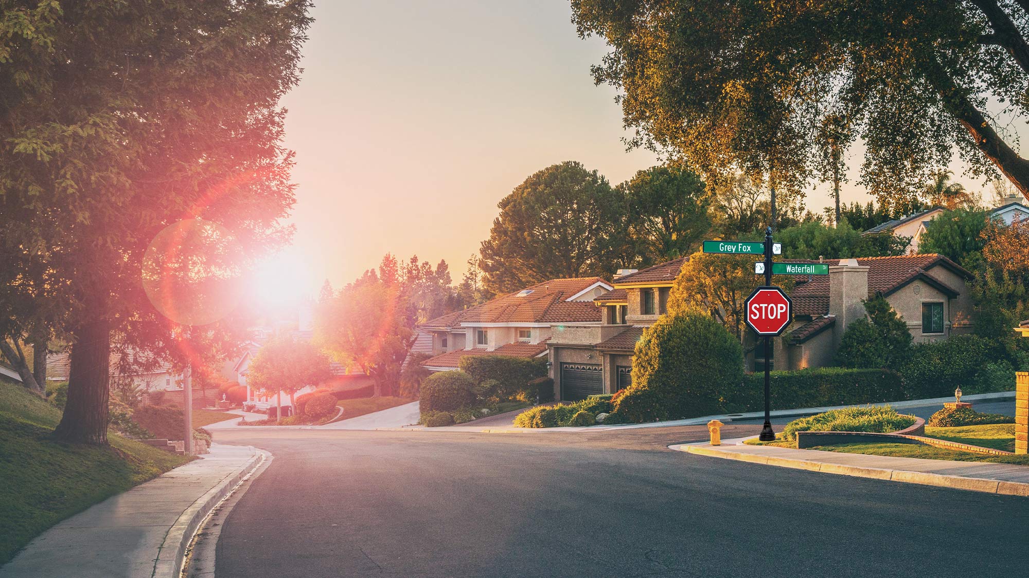 Decorative Street Signs Pricing 6 Facts About Decorative Street Name